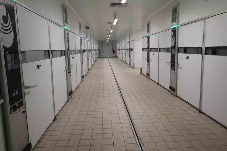 Nouvelle jeunesse pour le couvoir Goasduff | Réussir volailles